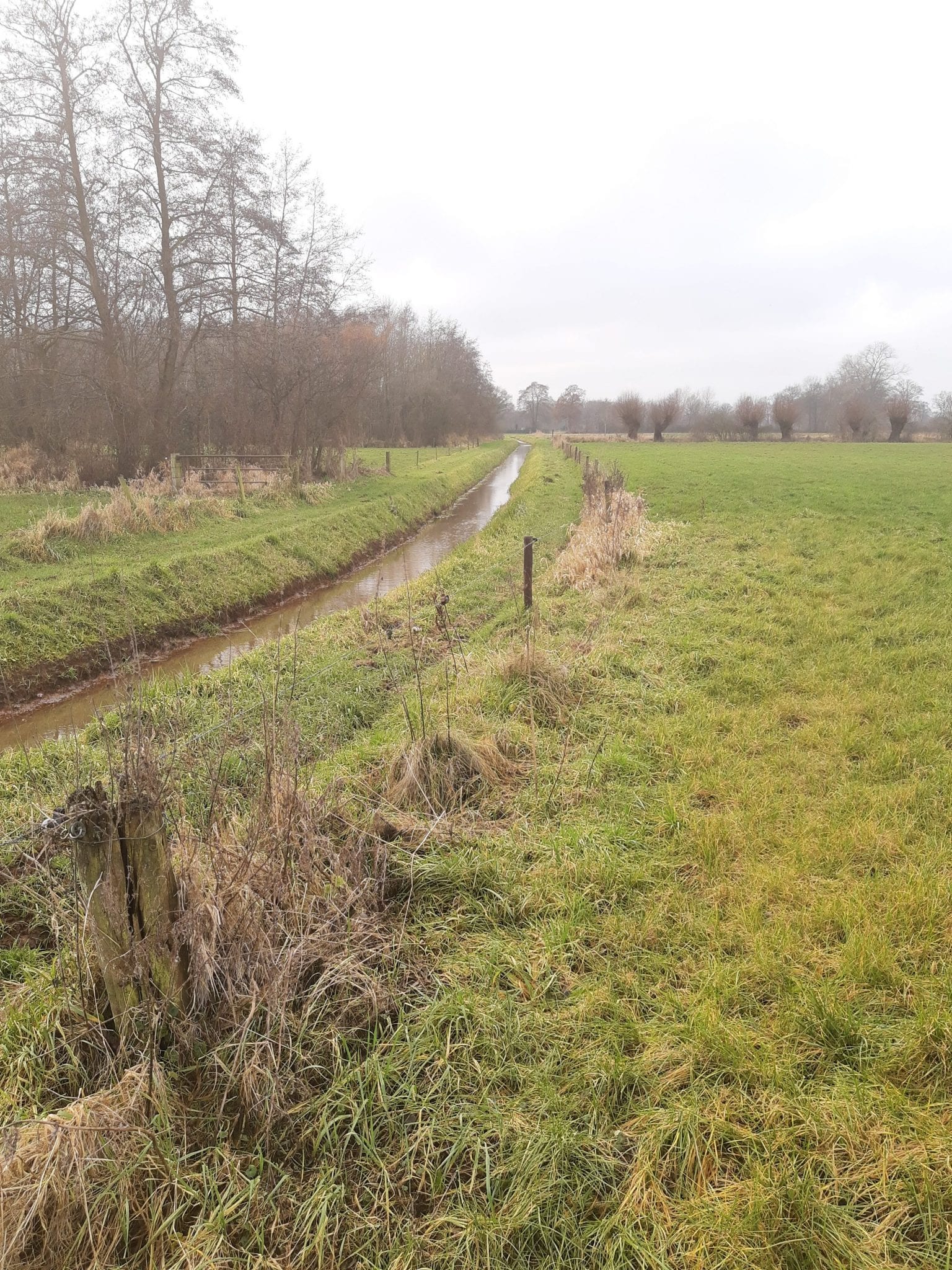 Lettele – Land van Ons
