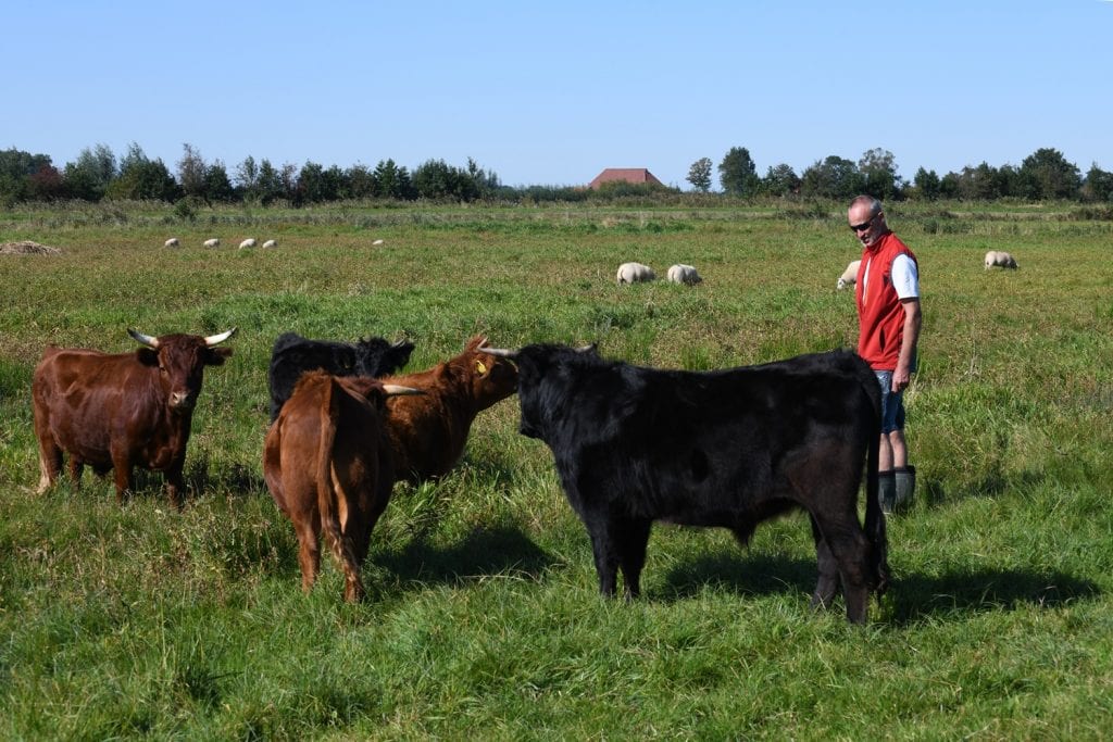 Onze percelen – Land van Ons