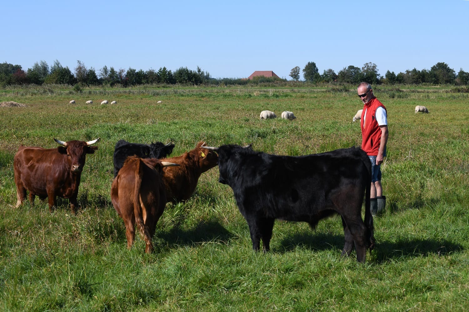 Triemen – Land van Ons