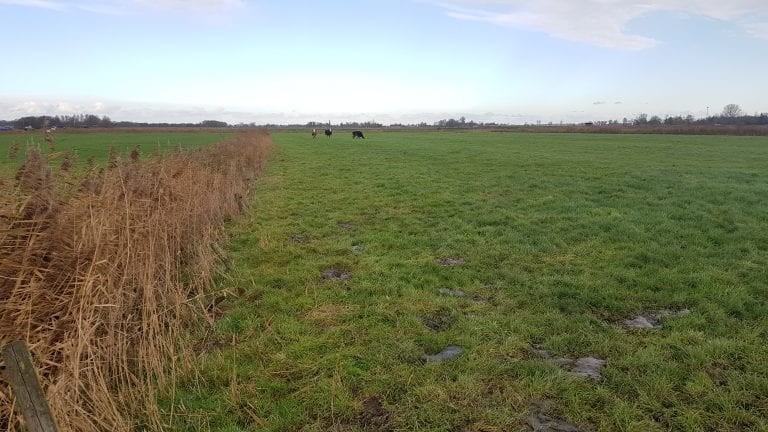 Triemen – Land van Ons