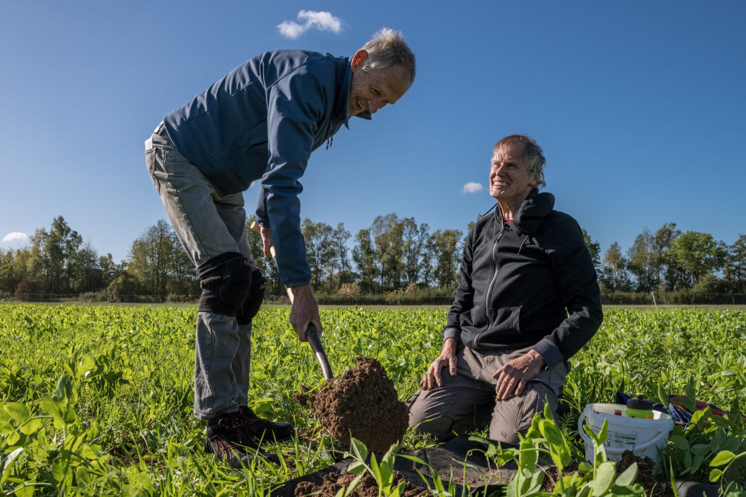 Alles wat je moet weten over de bodem - Land van Ons